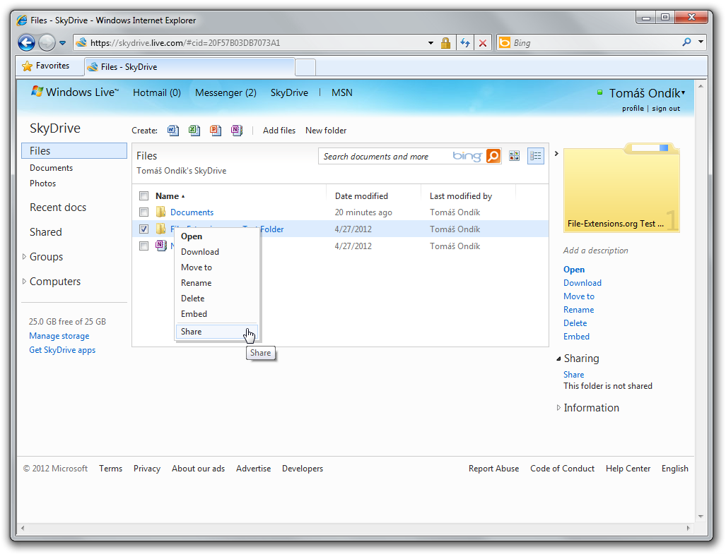 Map SkyDrive as network drive - File-Extensions.org