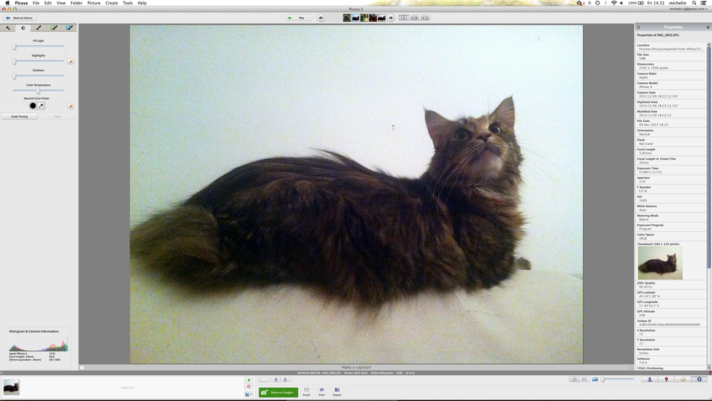 Cómo usar Google Picasa - File-Extensions.org