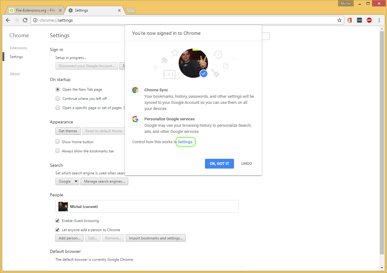 Backup Chrome Extensions - File-Extensions.org