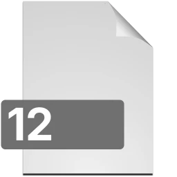 12 icon