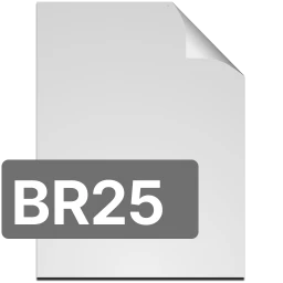 BR25 file: How to open? The best software for opening br25 files