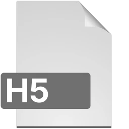 h5 icon