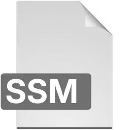 ssm icon