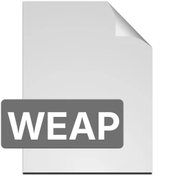 weap icon