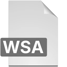 wsa icon